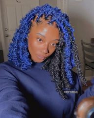 25 Distressed Butterfly Locs and Butterfly Braids Ideas for 2025